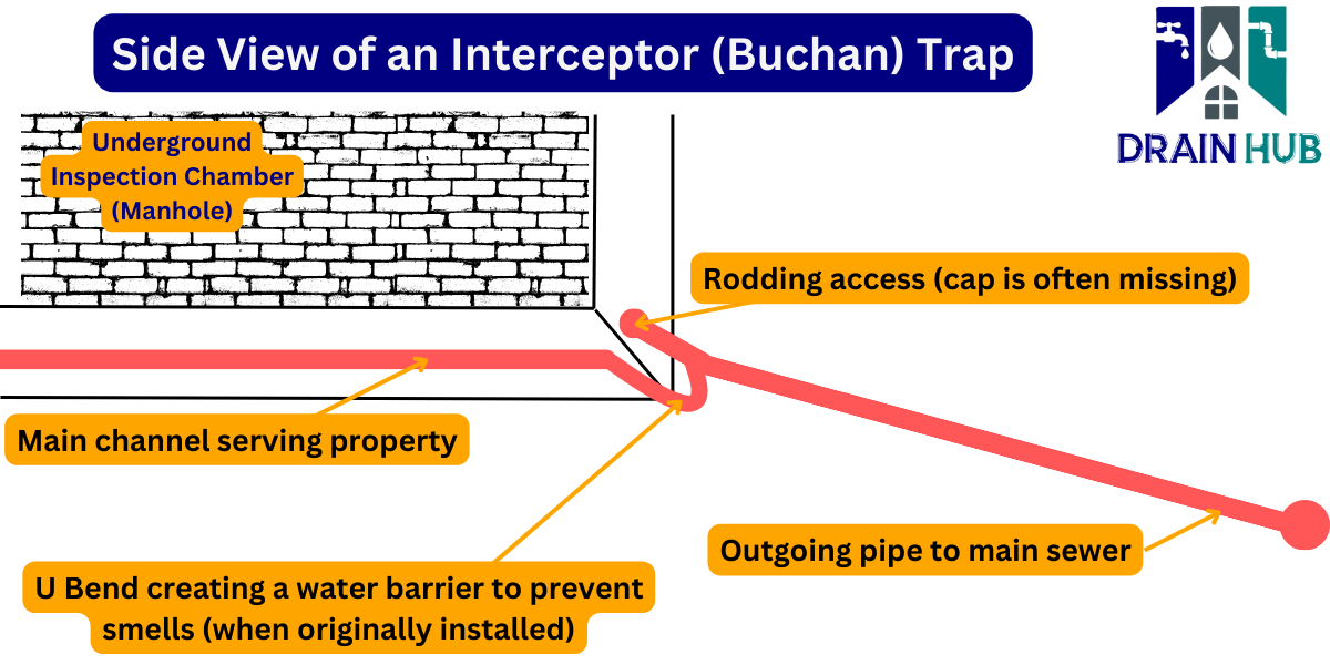 Old House, Slow Drains? This Forgotten Victorian Invention Might Be to ...